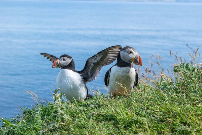 1-Day Moray Coast Tour with Speyside Whisky from Inverness - A Scenic Day Out on Scotland’s Moray Coast from Inverness