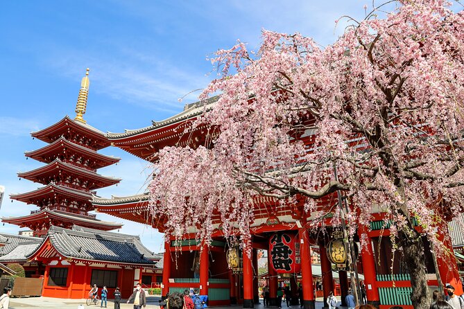 1-Day Tokyo Bus Tour - Introduction