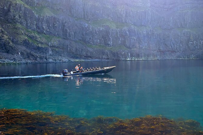 1 Hour Iceland Nature and Wildlife RIB Small Group Guided Safari - Discovering Iceland’s Marine World on a Small-Group RIB Safari