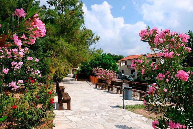 100% Cyprus - Tour to Troodos mountains and villages (From Paphos) - Key Points