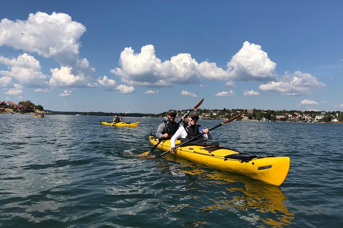1-Day Small-Group Stockholm Archipelago Kayak Tour - A Deep Dive into the Experience