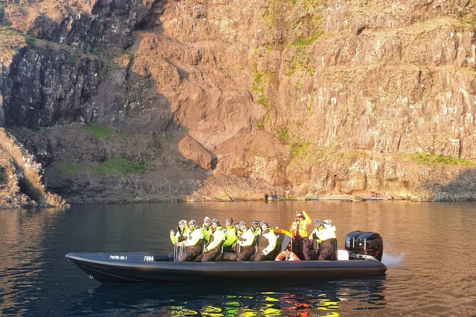 1 Hour Iceland Nature and Wildlife RIB Small Group Guided Safari - Key Points