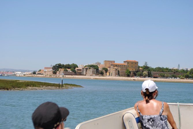 2-hour Bird Watching Guided Boat Trip in Ria Formosa from Faro Algarve - What You Can Expect on the Tour