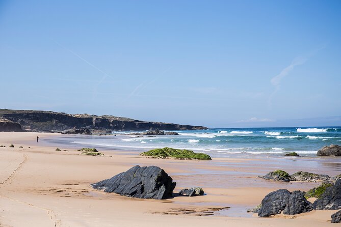 2-Hour Surf Lesson in Alentejo - What the Experience Offers