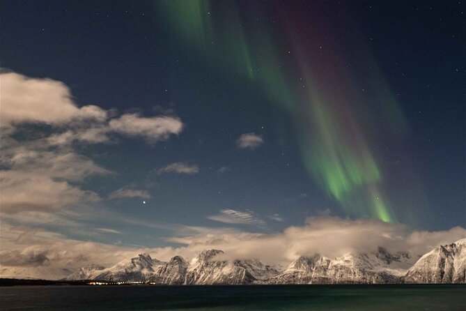 24hr Northern Lights & Whale Watching Cruise - The Next Day: Whale Watching from Your Cabin