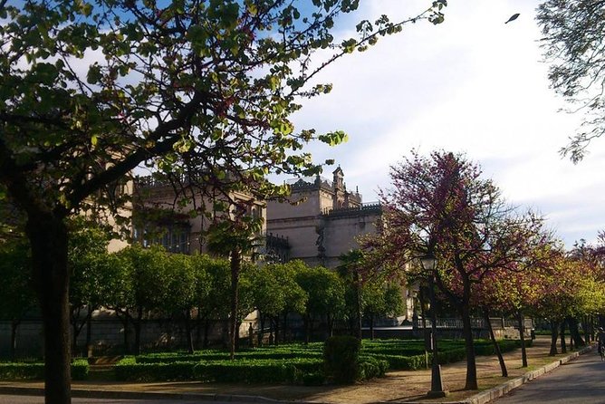 2h30 Private Walking Tour of Seville with Local Guide - What the Tour Feels Like