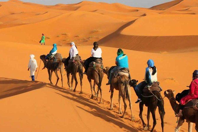 3 Days Desert Tour From Marrakech To Merzouga Dunes & Camel Trek - What Makes This Tour Stand Out