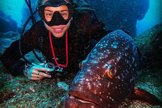 3 days Open Water Course | Scuba Diving - An In-Depth Look at the 3-Day Open Water Course in Funchal