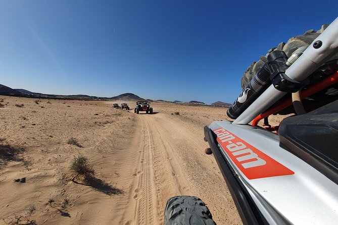 3 Hour Guided Buggy Tour Around the Island of Lanzarote - Key Points