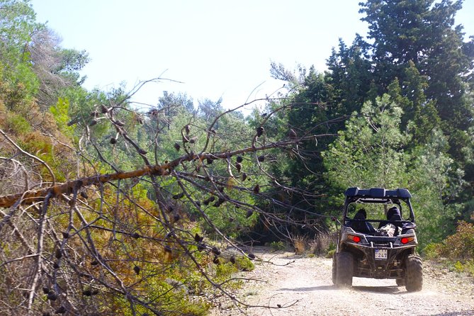 4x4 Buggy Adventures - Off-road Polaris Experience - Discover Rhodes on a 4x4 Adventure