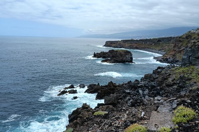 6hrs Private Tour in North Coast of Tenerife - Why This Tour Might Be Your Best Bet