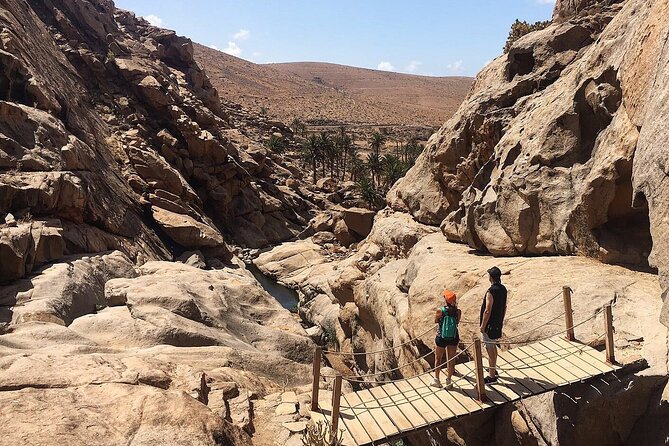 7-Hour Private Tour to the Wonders of Fuerteventura - Who Will Love This Tour?