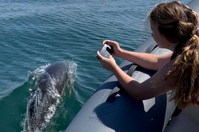 90 Minute Coastal Explorer in Torquay - Who Should Consider This Tour?