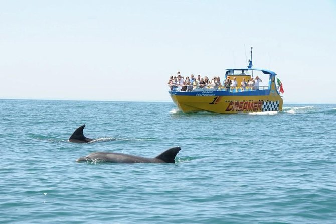Albufeira Dreamer Boat Trip - The Itinerary in Detail: What to Expect