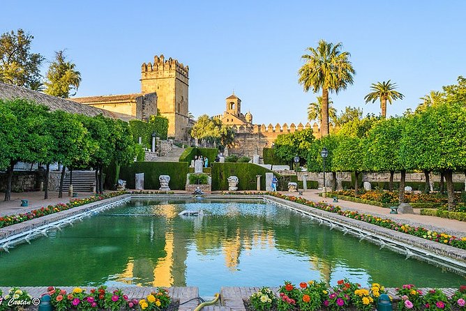 Alcazar of Cordoba Small Group Tour with Skip the Line Ticket - An In-Depth Look at What You Can Expect
