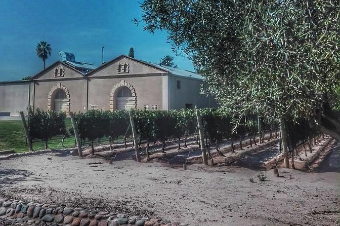 All Day, Small Group, Luxury Wine Tour with Gourmet Lunch - Introduction: What’s the Deal with This Mendoza Wine Tour?