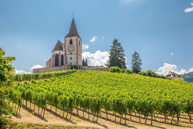 Alsace Full Day Wine Tour from Colmar - Introduction: Why Choose This Alsace Wine Tour?