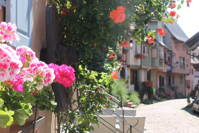 Alsace Wine Route Small Group Half-Day Tour with Tasting from Strasbourg - A Deeper Look at the Tour Experience