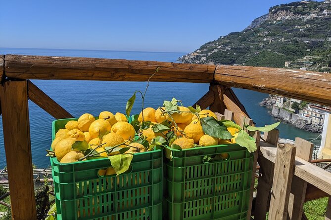 Amalfi Coast - Maiori: Path of Lemons Tour with Tasting - How the Itinerary Works