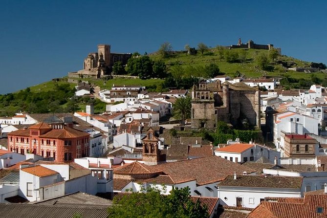 Aracena & Riotinto Mines Tour from Seville - Key Points