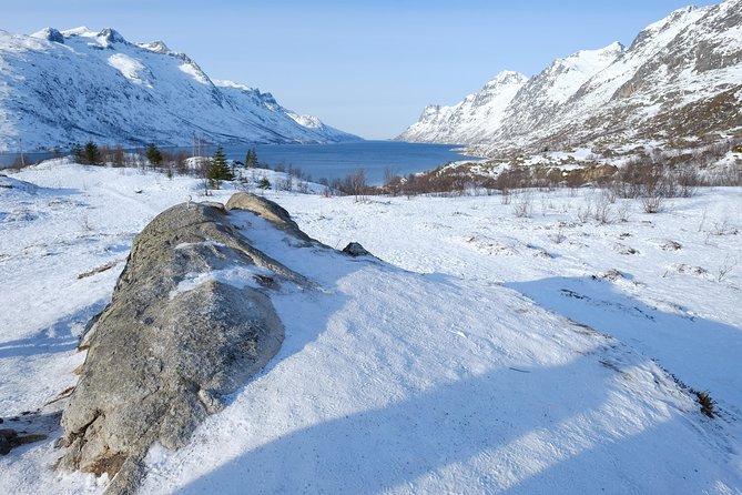 Arctic fjord and Landscape Tour - The Value of the Experience