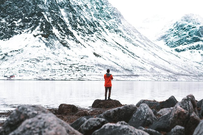 Arctic Fjord Sightseeing by Minibus - Melting into Norway’s Arctic Majesty