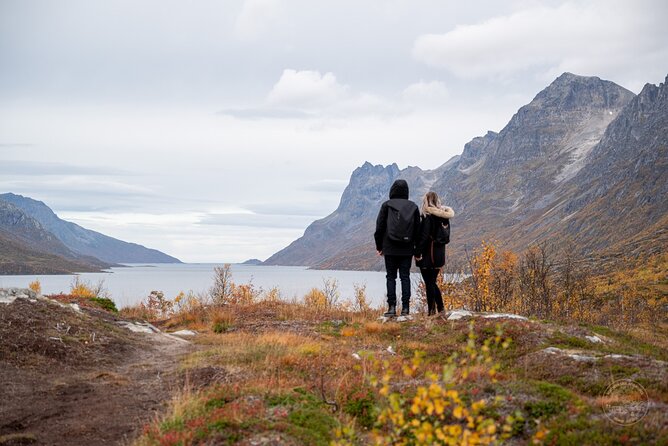Arctic Roadtrip: fjords with scenic picnic | Sightseeing - Exploring the Norwegian Arctic: What to Expect