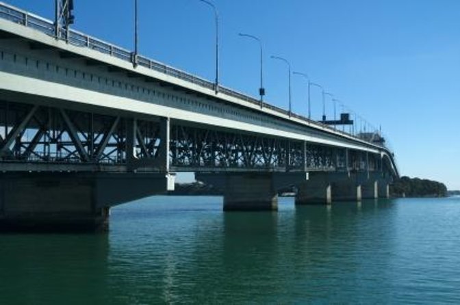 Auckland Dolphin and Whale Watching Eco-Safari Cruise - An Overview of the Experience