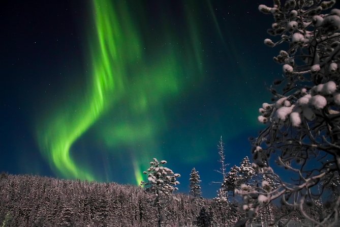 Aurora Borealis Picnic in Rovaniemi - Key Points