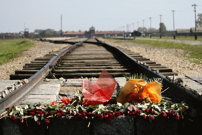 Auschwitz-Birkenau and Salt Mine Tour with private transport from Krakow - Key Points