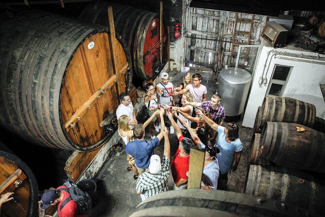 Authentic Small Group Douro Wine Tour with Lunch & River Cruise - Exploring the Douro Valley: A Closer Look