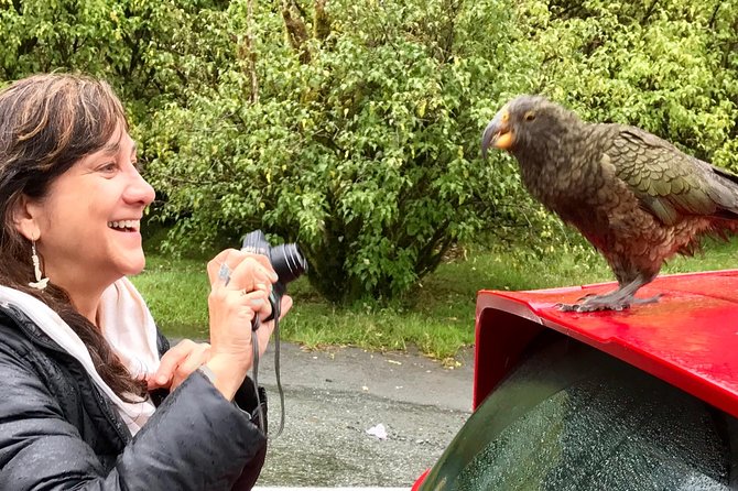 Award Winning Milford Sound Full Day Tour & Cruise from Te Anau - An In-Depth Look at this Milford Sound Adventure