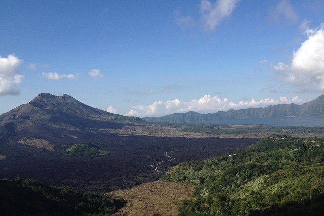 Bali Full-Day Traditional Village Sightseeing Trip All Inclusive - Authentic Experiences and What Travelers Say