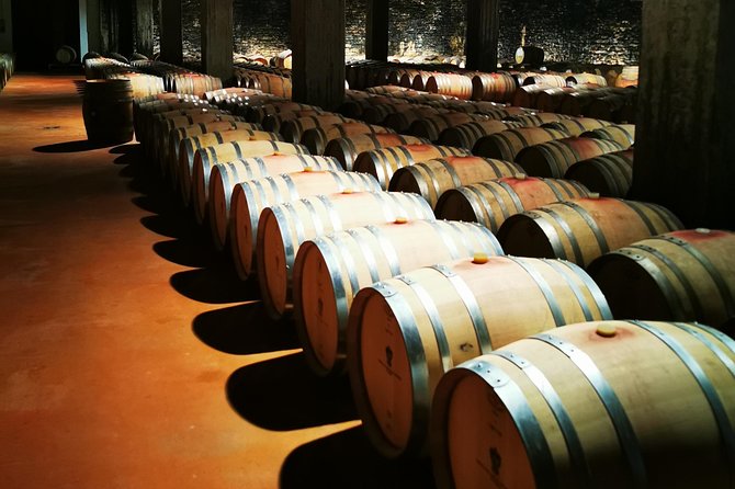 Barolo&Barbaresco wine tour with a local winemaker - The Itinerary Breakdown