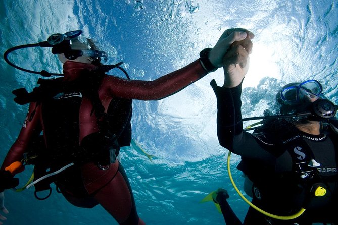 Beginners Scuba Diving Experience in Gran Canaria - What to Expect from the Experience