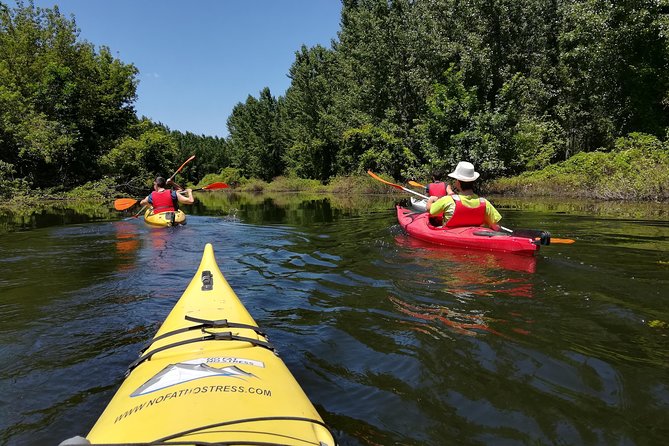Belgrade Amazon Kayak Adventure - What to Expect: A Day on the Water in Belgrade’s "Amazonia"