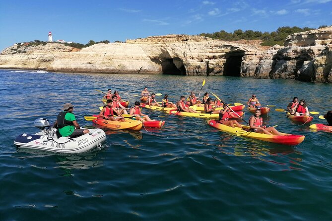 Benagil Kayak Tour On Board a Fantastic Catamaran - The Experience: What You Can Expect