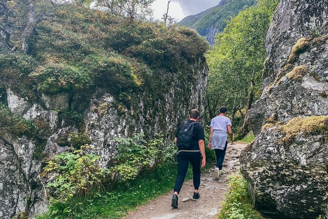 Bergen Day Tour to National Park Folgefonna and Glacier Lake - Why Choose This Tour?