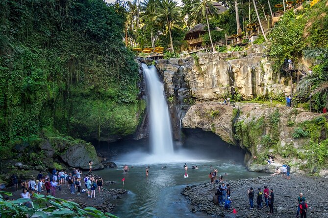 Best of Ubud 1-Day Private Tour - The Sum Up: Who Will Love This Tour?