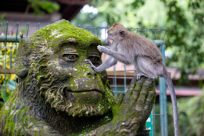 Best of Ubud Full-Day Tour with Jungle Swing - What Travelers Love About This Tour