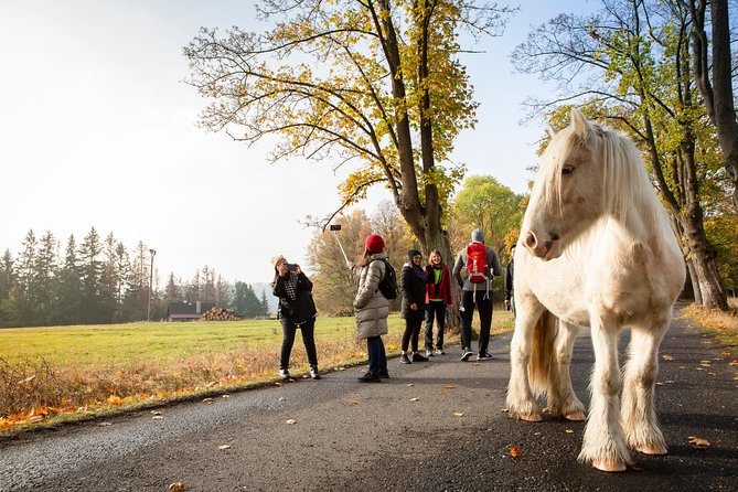 Best Reviews: Saxon and Bohemian Switzerland Day Trip from Prague - Key Points