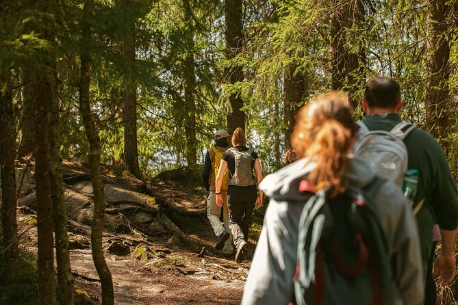 Best View of the Oslofjord Hike - An In-Depth Look at the Vettakollen Hike Experience
