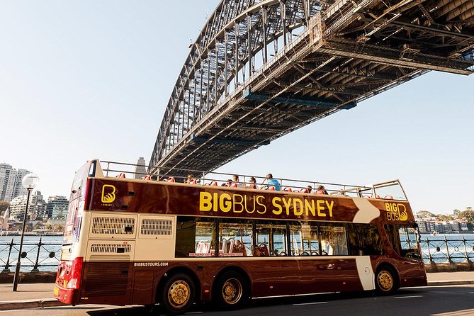 Big Bus Sydney and Bondi Hop-on Hop-off Tour - An Overview of the Tour Experience