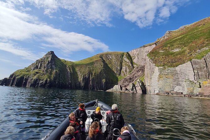 Blasket Island Sea Life Rib Tour, - Exploring Dingle’s Marine Wonders and Coastal Beauty