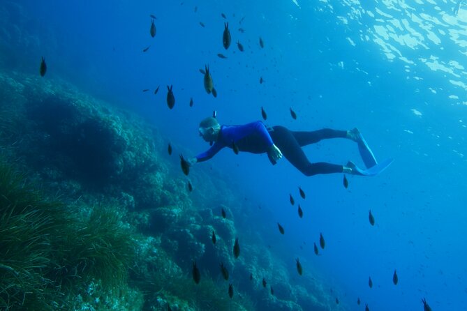 Boat trip and snorkeling in Villefranche - sur - Mer - The Itinerary and What to Expect