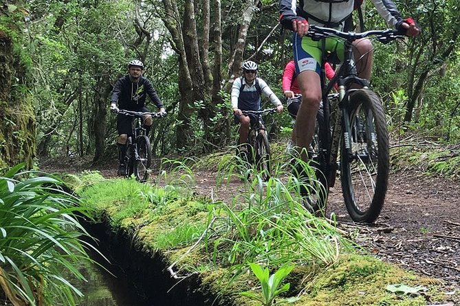 Botanical Trails of Madeira. Mountain biking Trail Experience - An In-Depth Look at the Madeira Mountain Biking Tour