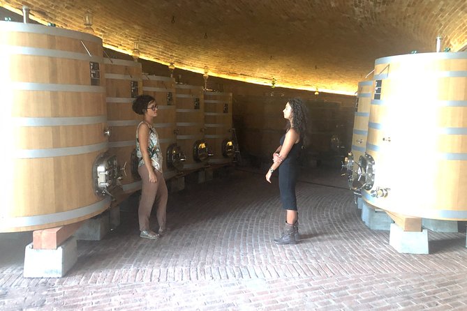 Brunello di Montalcino Wine Tour of 2 Wineries with Pairing Lunch - What’s on the Itinerary?