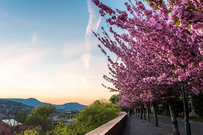 Budapest Private Walking Tour - Why This Budapest Tour Works for You