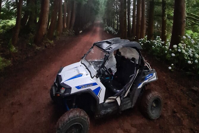 BUGGY TOUR - West / Center of the island (off-road) - An In-Depth Look at the Off-Road Adventure