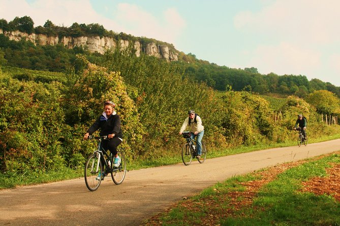 Burgundy Bike Tour with Wine Tasting from Beaune - Introduction: A Ride into Burgundys Heart